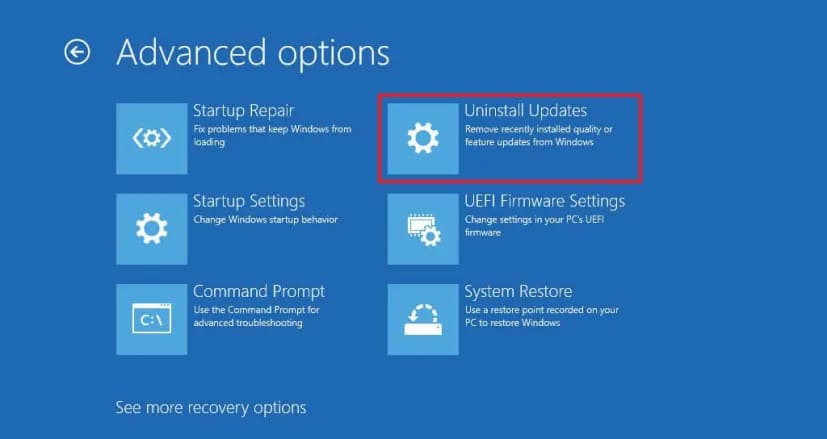 How to Downgrade and Rollback Windows 11 24H2 to a Previous Version?